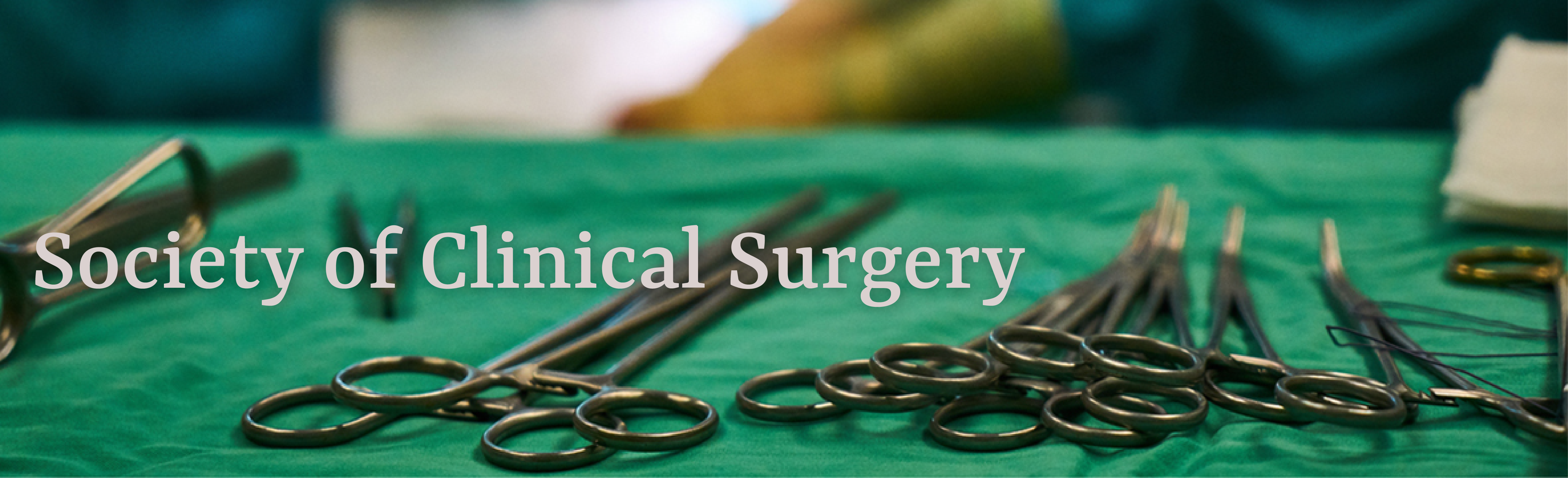 SCSBanner1 – Society of Clinical Surgery